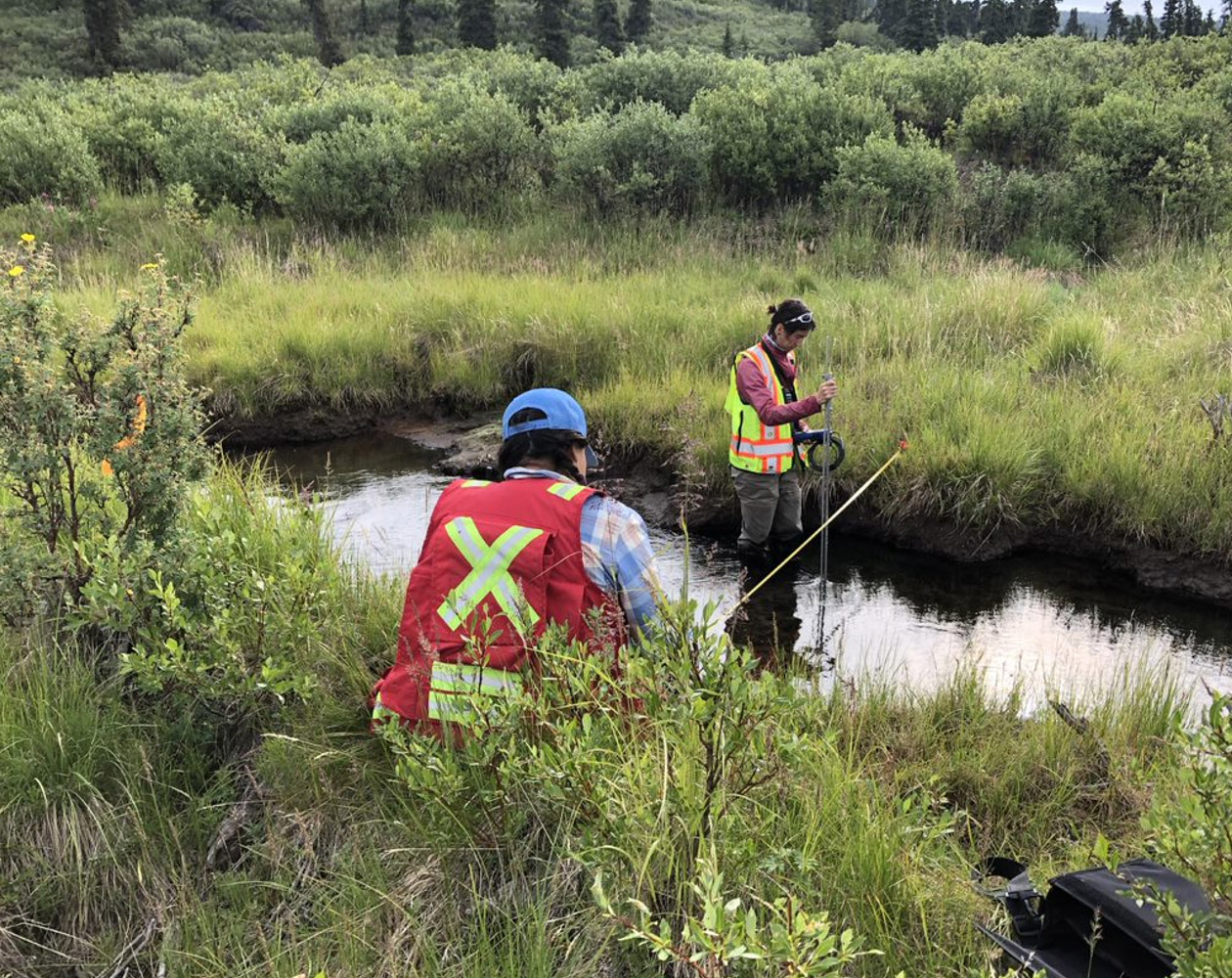 Environmental Baseline Monitoring – CoreGeo